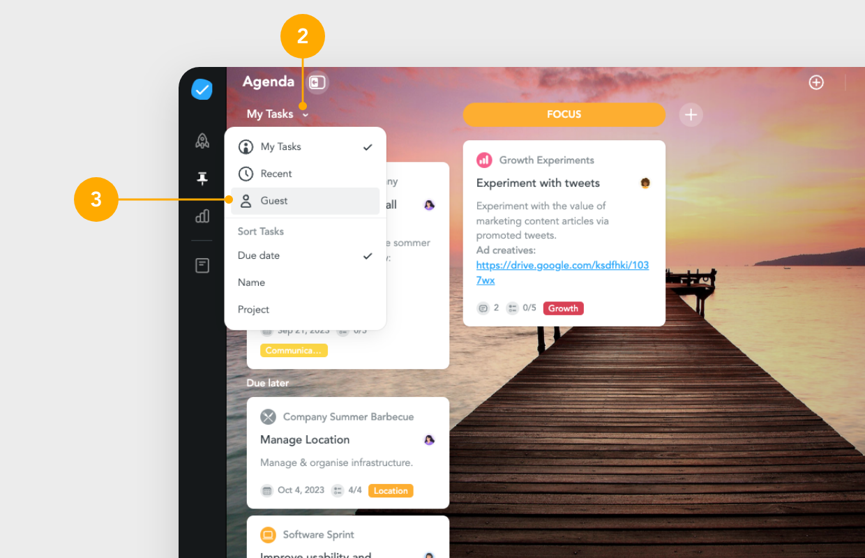 The Guest Role – MeisterTask