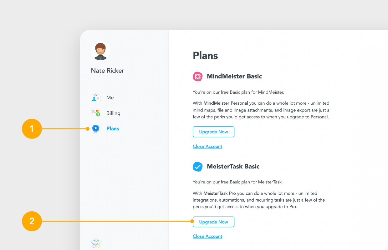 Manage Your Team's Licenses and Subscription Plans – MeisterTask