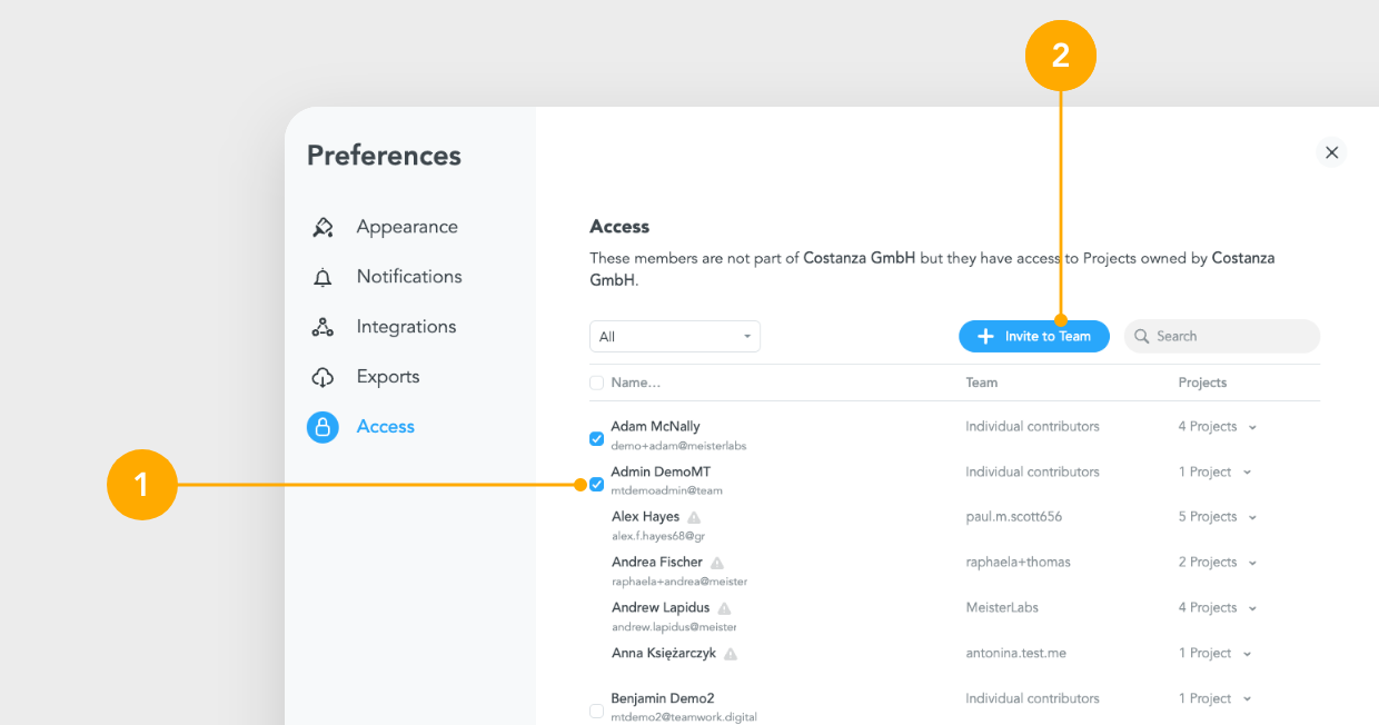 Access Tab: Manage Collaborators Outside of Your Team – MeisterTask